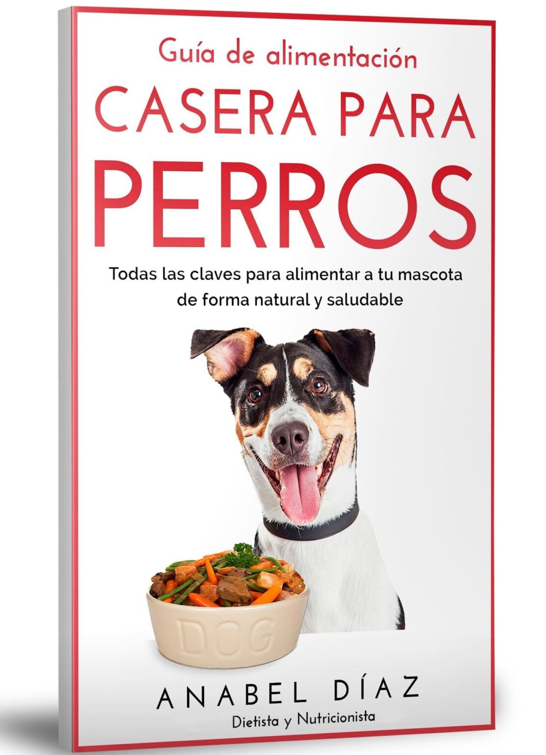 Cómo preparar comida natural para mi perro: una guía útil. - Ecologia ...