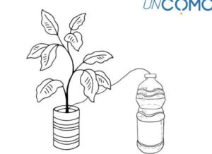 Cómo regar las plantas en vacaciones utilizando una botella - Ecologia ...