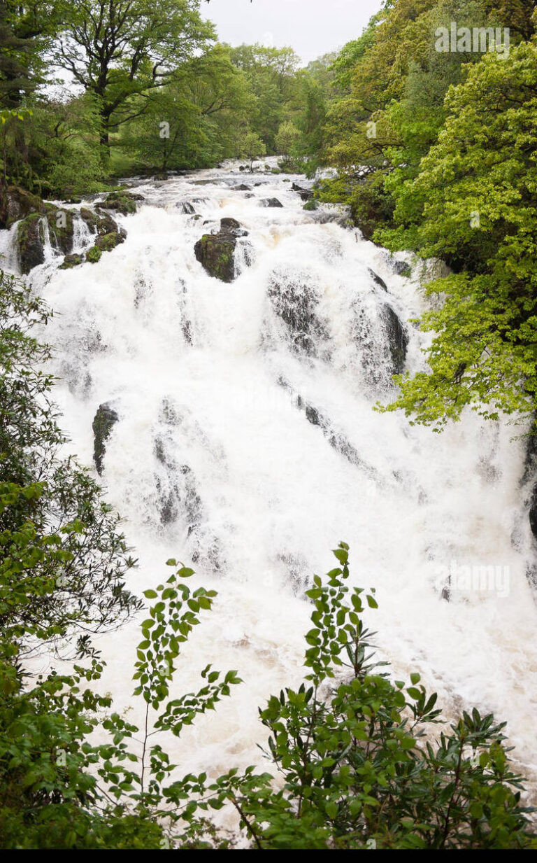 El río más caudaloso del mundo: un poderoso torrente natural - Ecologia ...