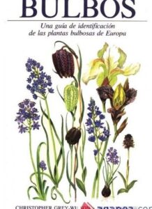 Las plantas de bulbos y sus nombres: una guía útil - Ecologia Cotidiana