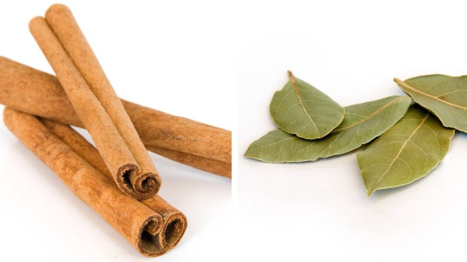 Té de laurel: ¿Para qué sirve y cómo se prepara? - Ecologia Cotidiana