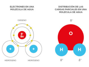 Características de la molécula del agua: un análisis detallado ...