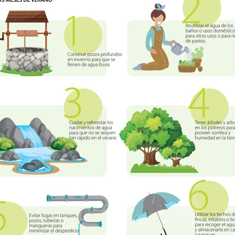 Cómo regar con agua de mar: beneficios y consejos - Ecologia Cotidiana