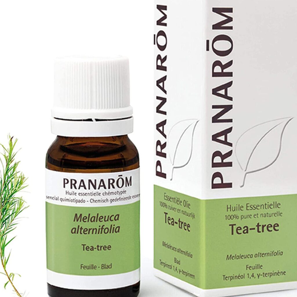 Propiedades del árbol de té para la piel: un análisis completo ...