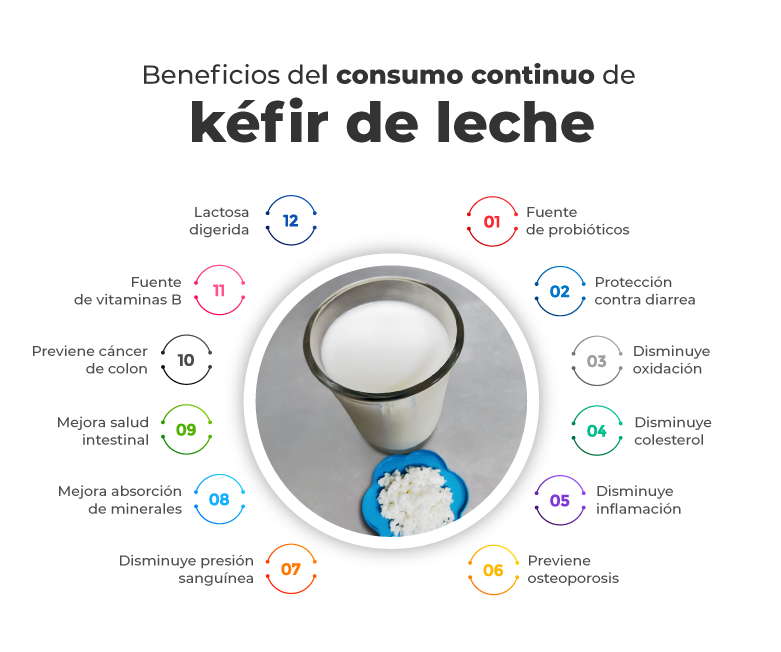 Qué es el kéfir y para qué sirve - Ecologia Cotidiana