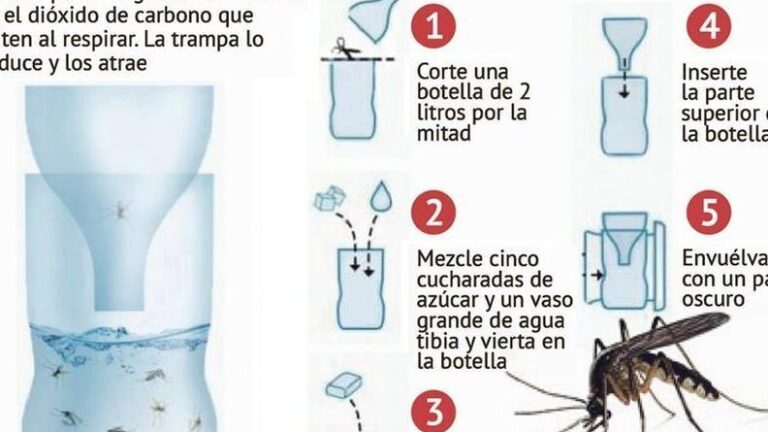 Remedio casero: ¡Botella, solución para los mosquitos! - Ecologia Cotidiana