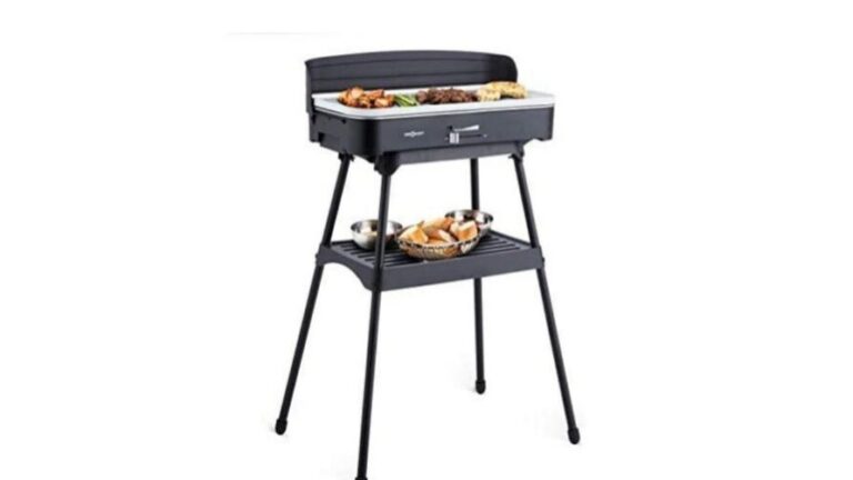 Se Puede Hacer Barbacoa en Casa en Verano - Ecologia Cotidiana