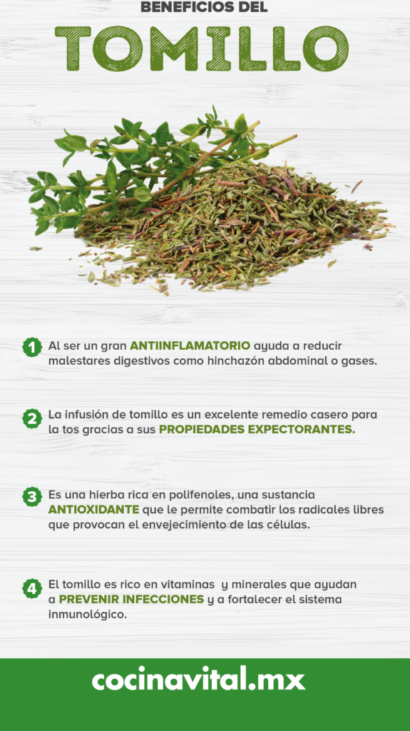 Tomillo: ¿Para qué sirve en la cocina? - Ecologia Cotidiana